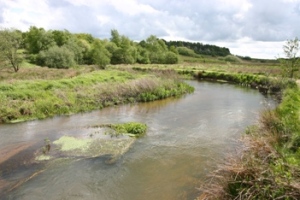 Haderup Å | Fredninger